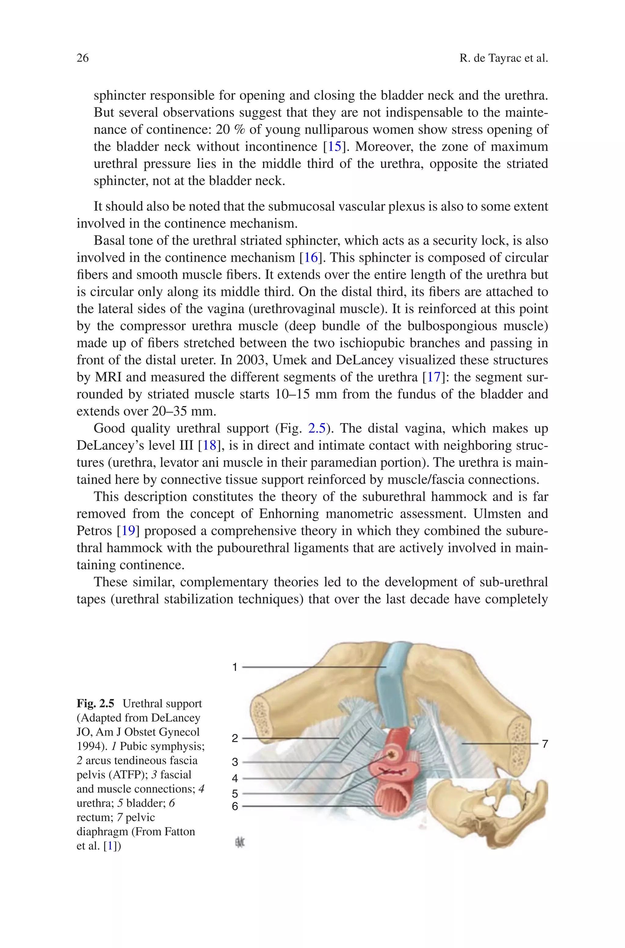 Perineal trauma at childbirth | PDF