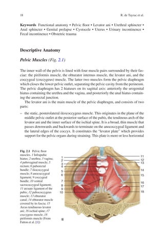 Perineal trauma at childbirth | PDF