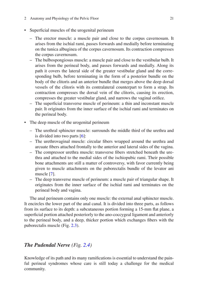 Perineal trauma at childbirth | PDF