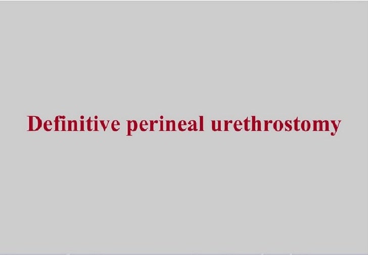 Perineal Urethrostomy