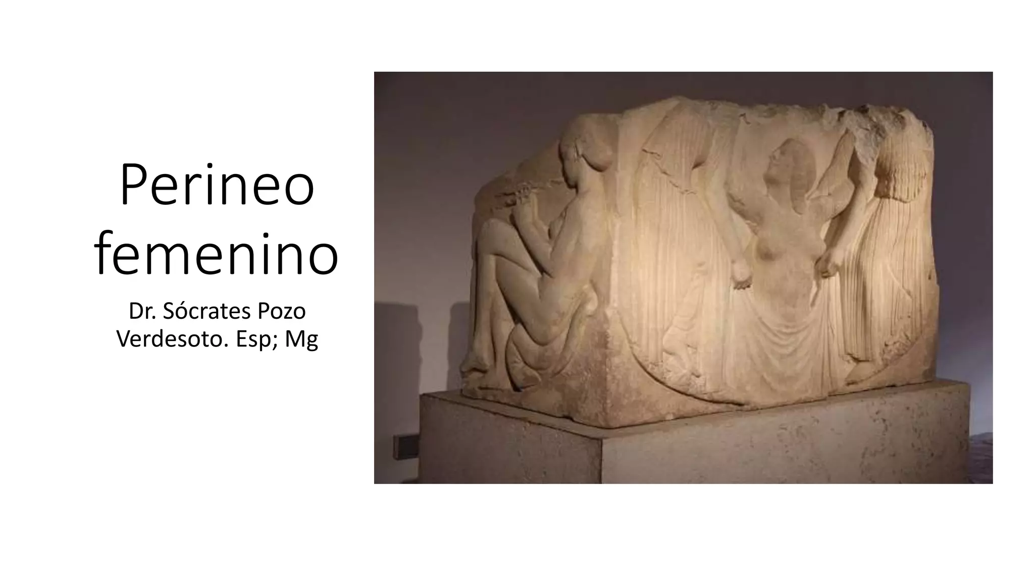 Anatomía del Perineo femenino | PPTX