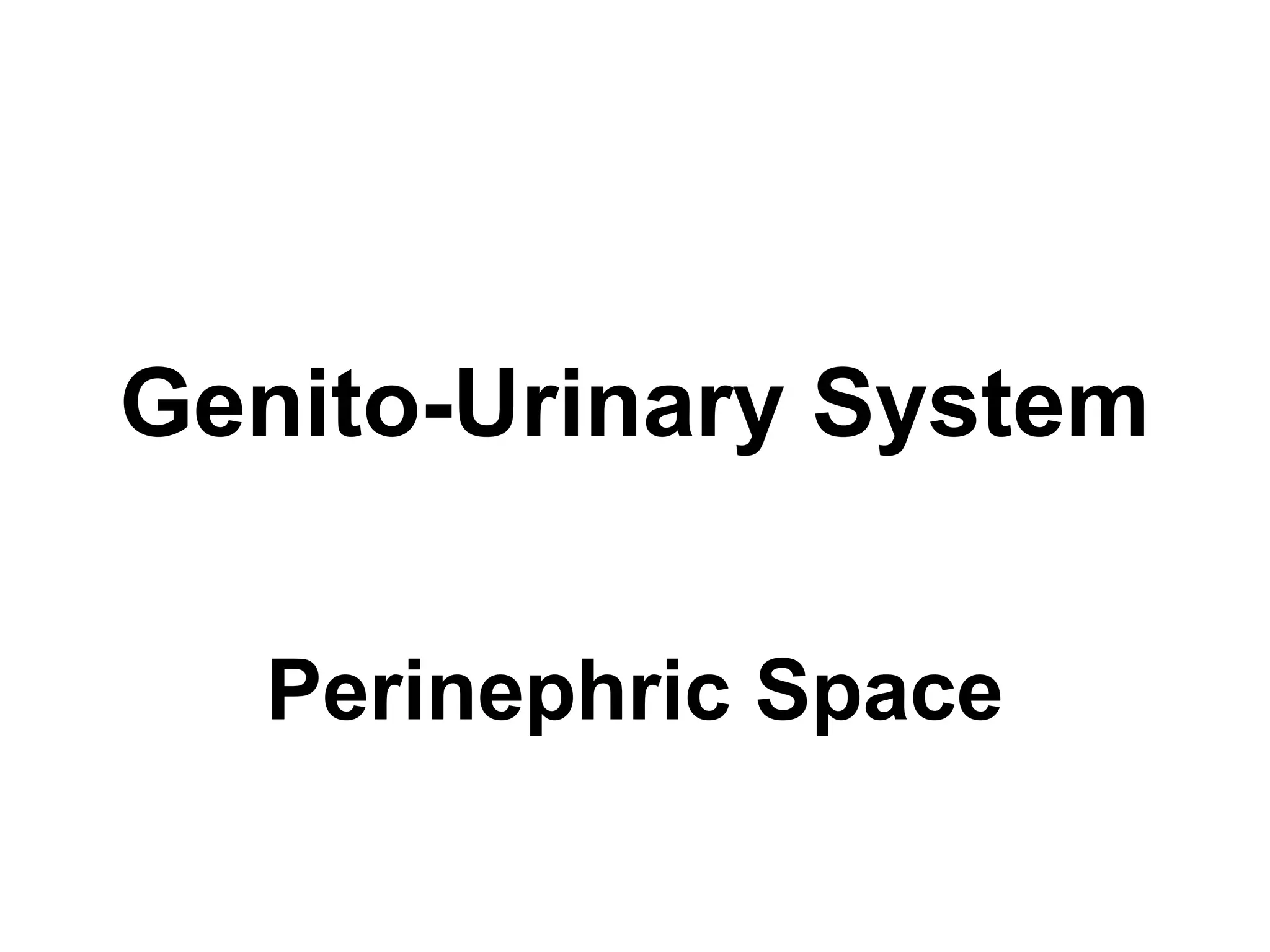 Diagnostic Imaging of Perinephric Space | PPT