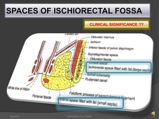 Perineum & ISCHIPRECTAL FOSSA | PPTX