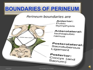 Perineum & ISCHIPRECTAL FOSSA | PPTX