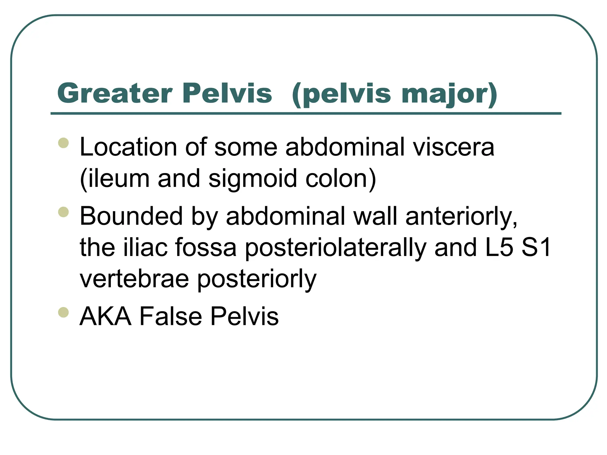 Anatomy of the perineum and pelvis .ppt