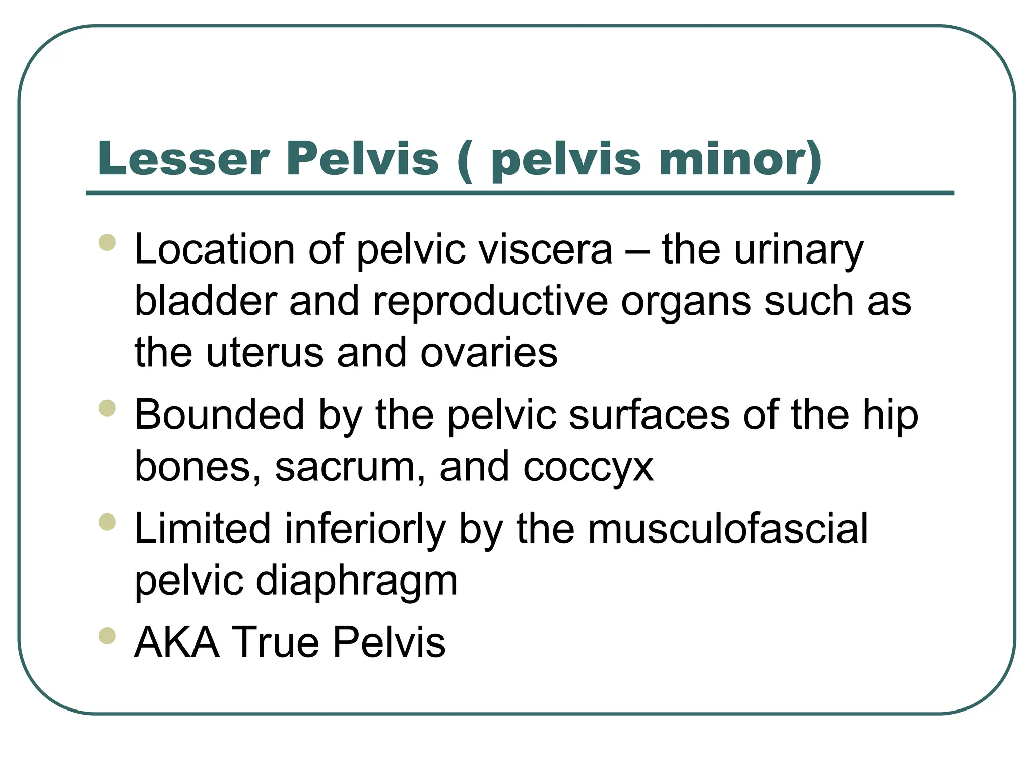 Anatomy of the perineum and pelvis .ppt