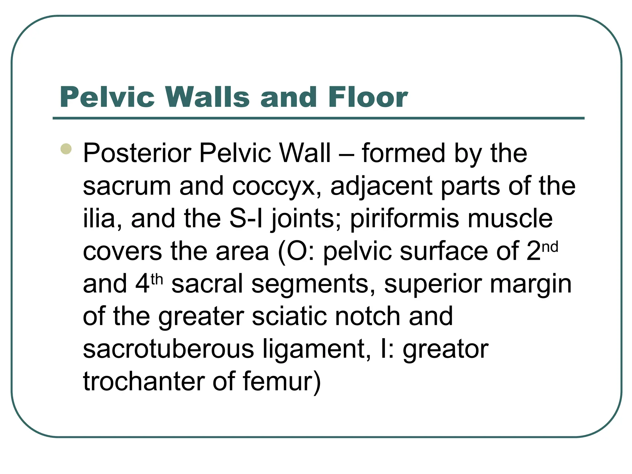 Anatomy of the perineum and pelvis .ppt