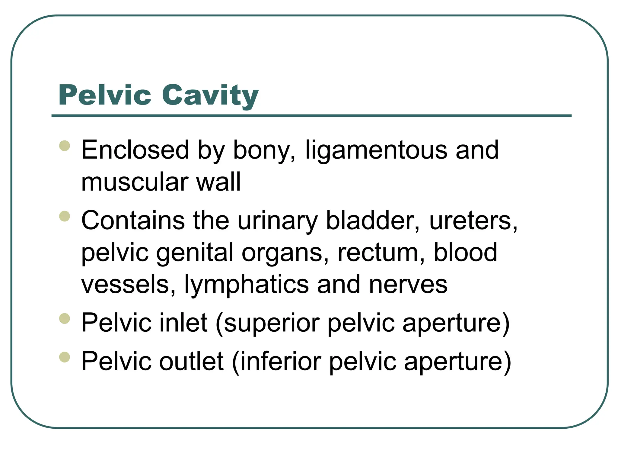 Anatomy of the perineum and pelvis .ppt