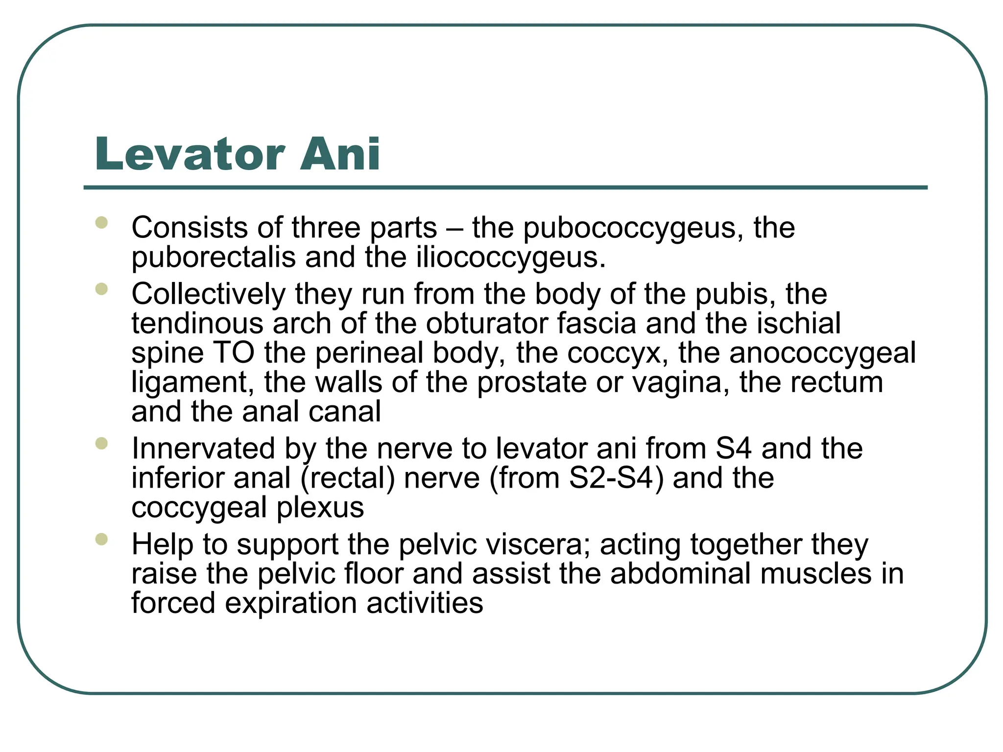 Anatomy of the perineum and pelvis .ppt