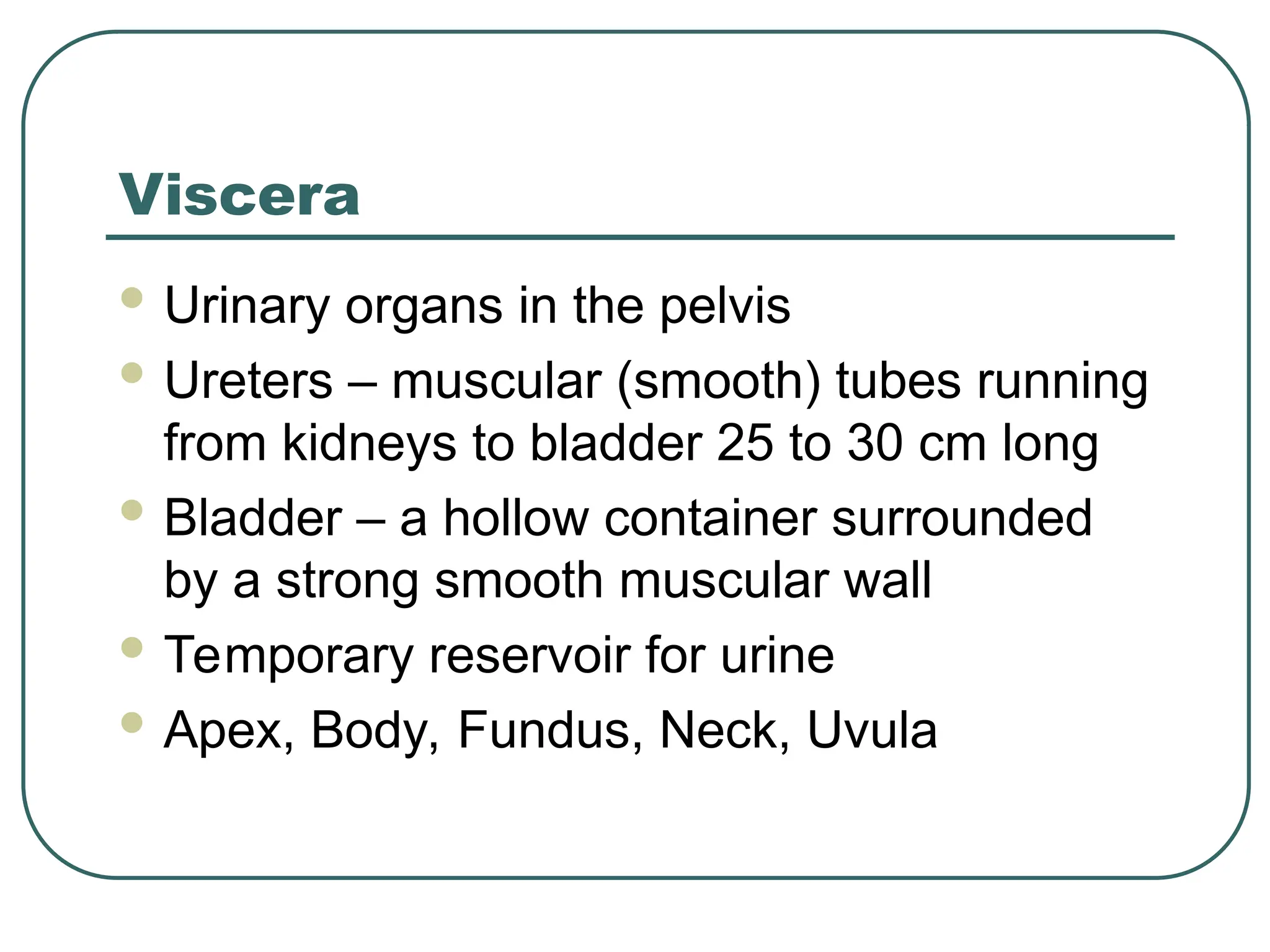Anatomy of the perineum and pelvis .ppt