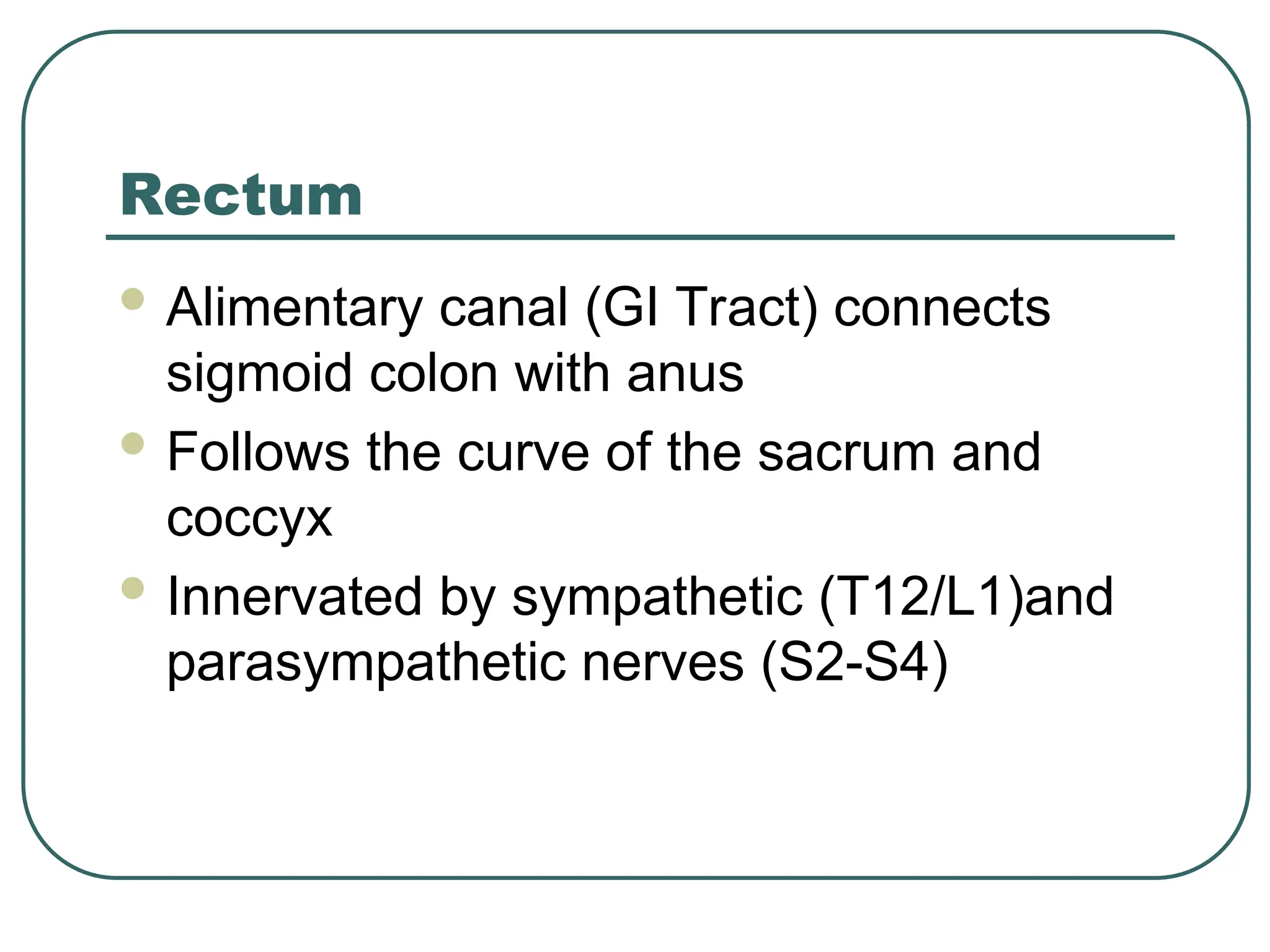 Anatomy of the perineum and pelvis .ppt