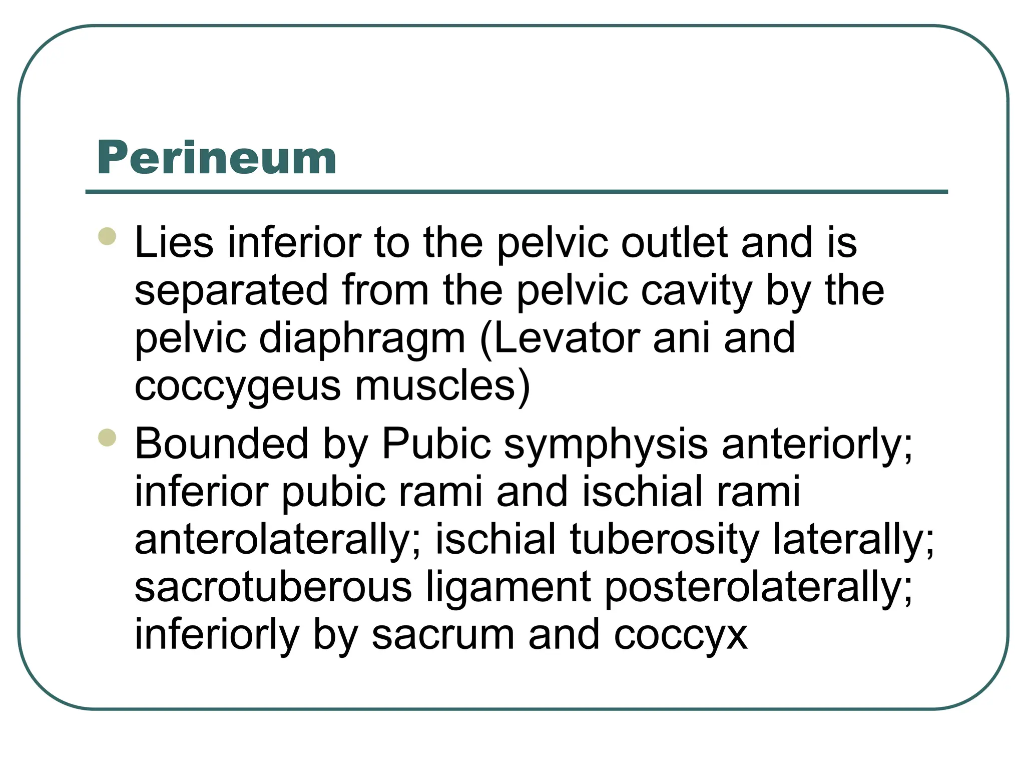 Anatomy of the perineum and pelvis .ppt