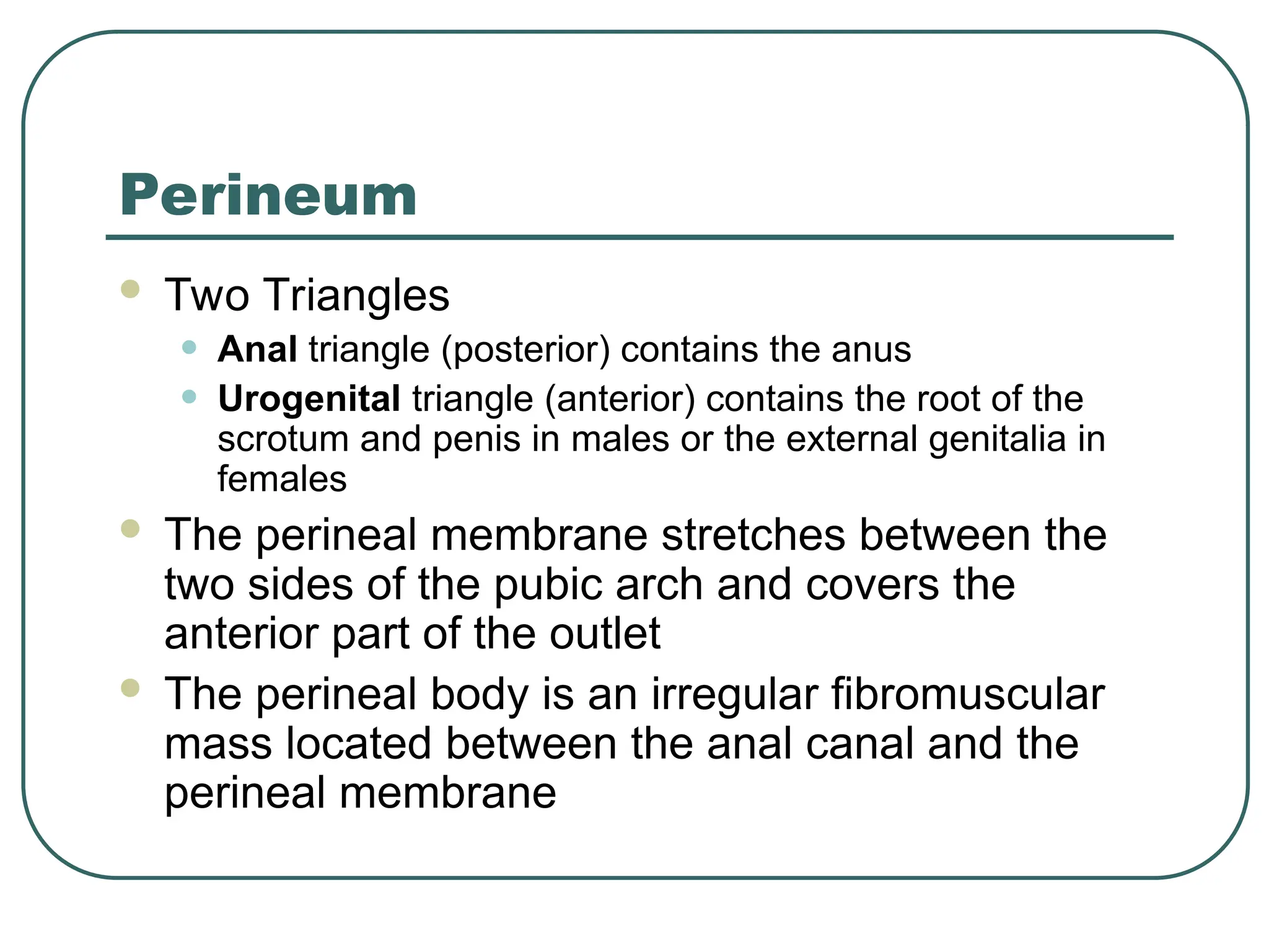 Anatomy of the perineum and pelvis .ppt