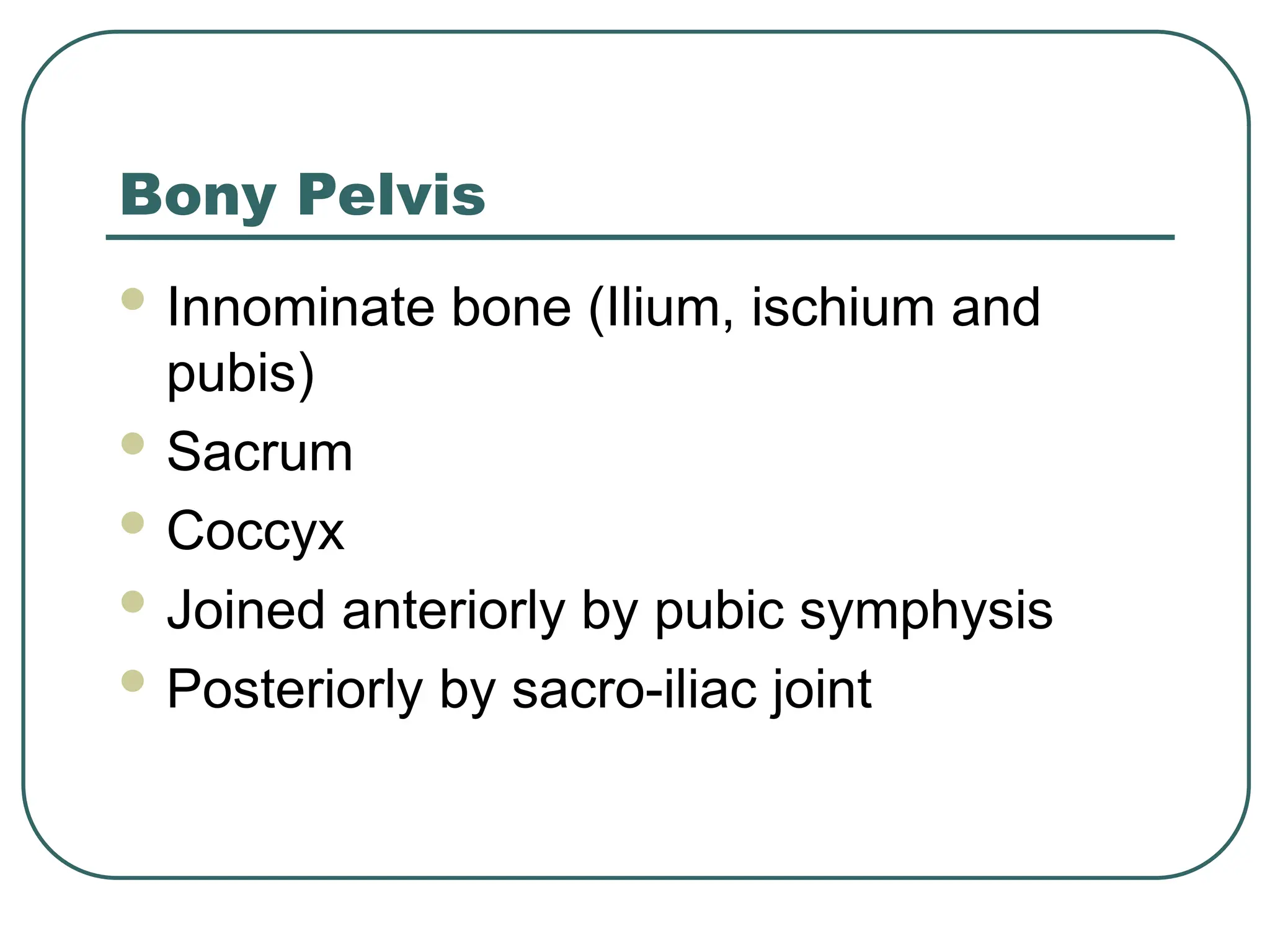 Anatomy of the perineum and pelvis .ppt