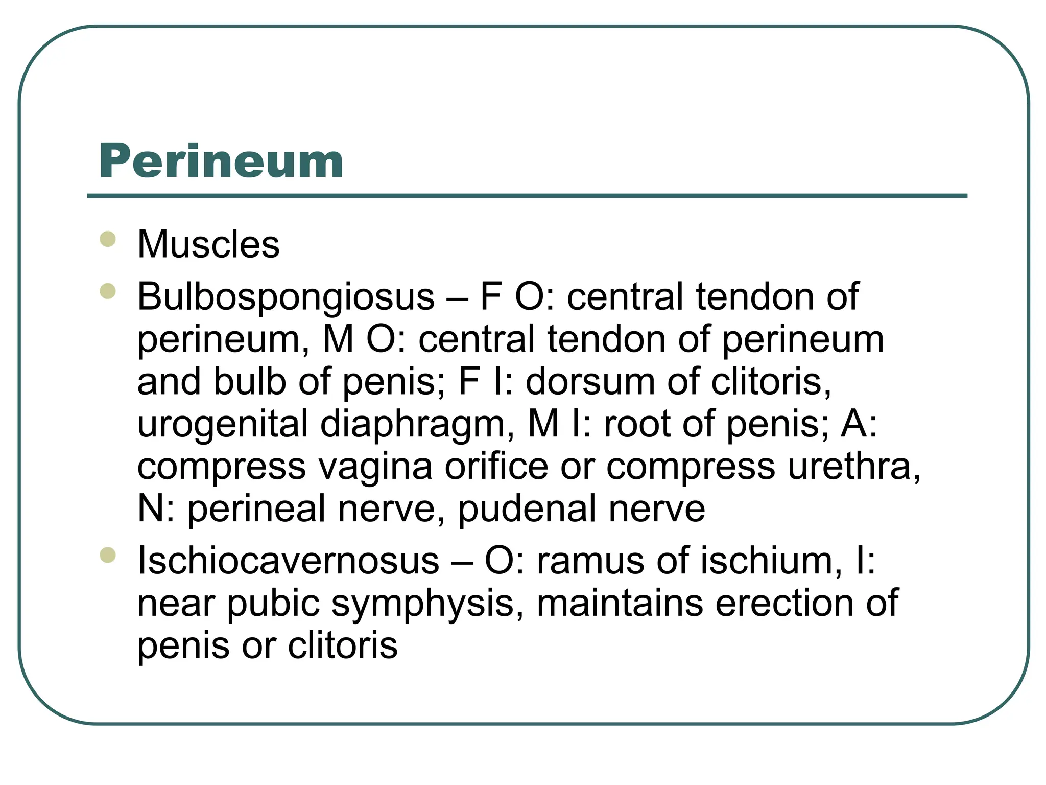 Anatomy of the perineum and pelvis .ppt