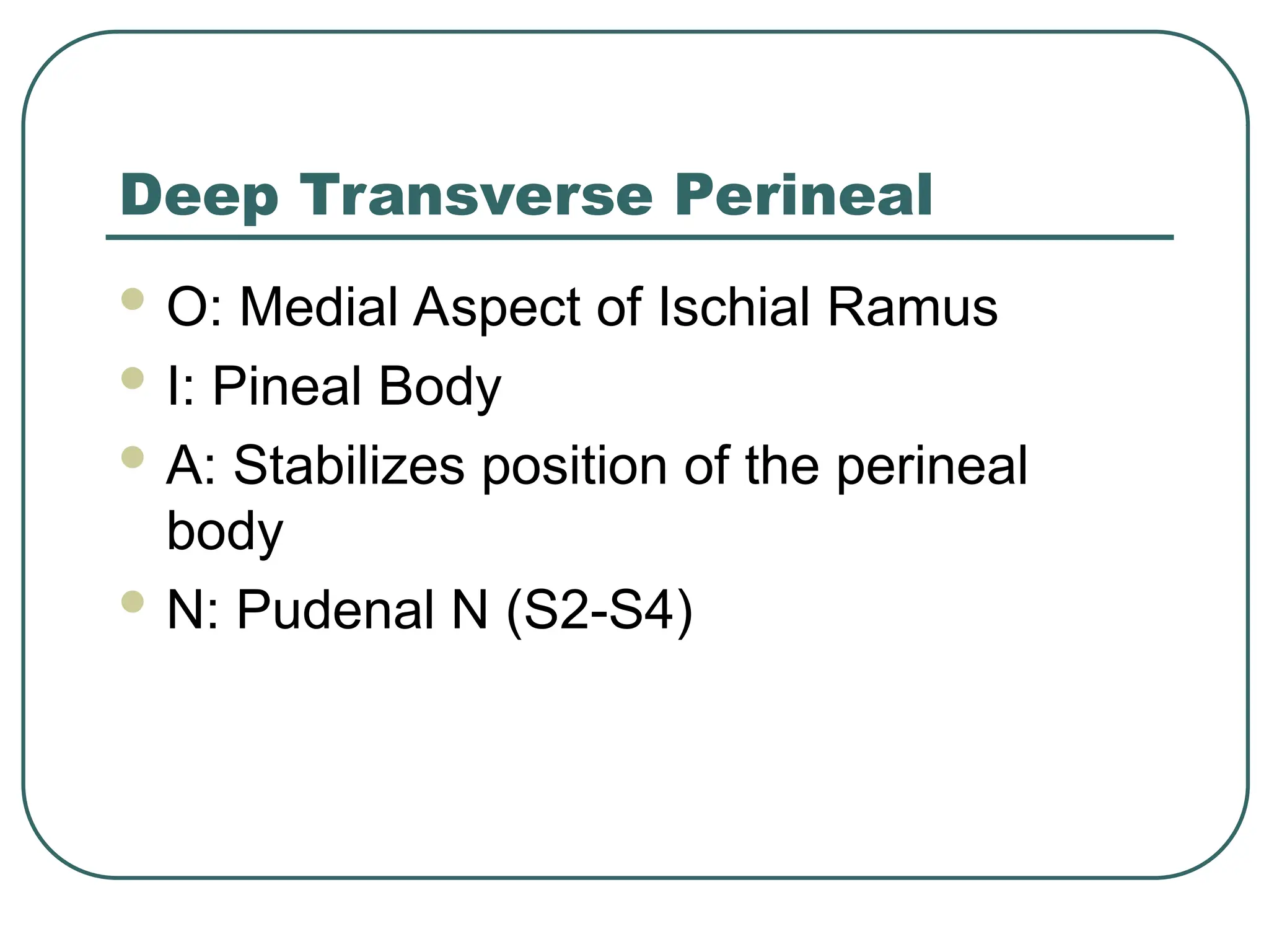 Anatomy of the perineum and pelvis .ppt