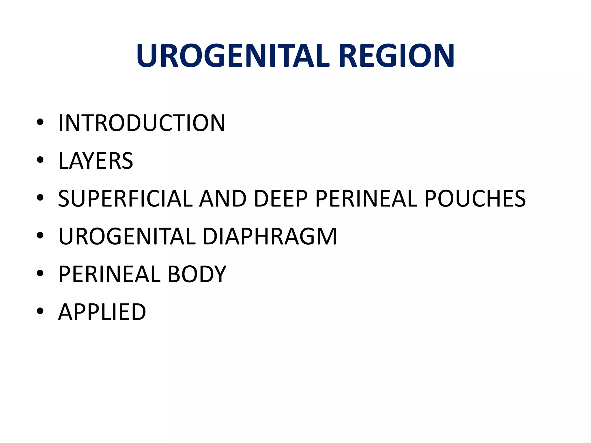 Perineum2 rakesh vora | PPTX