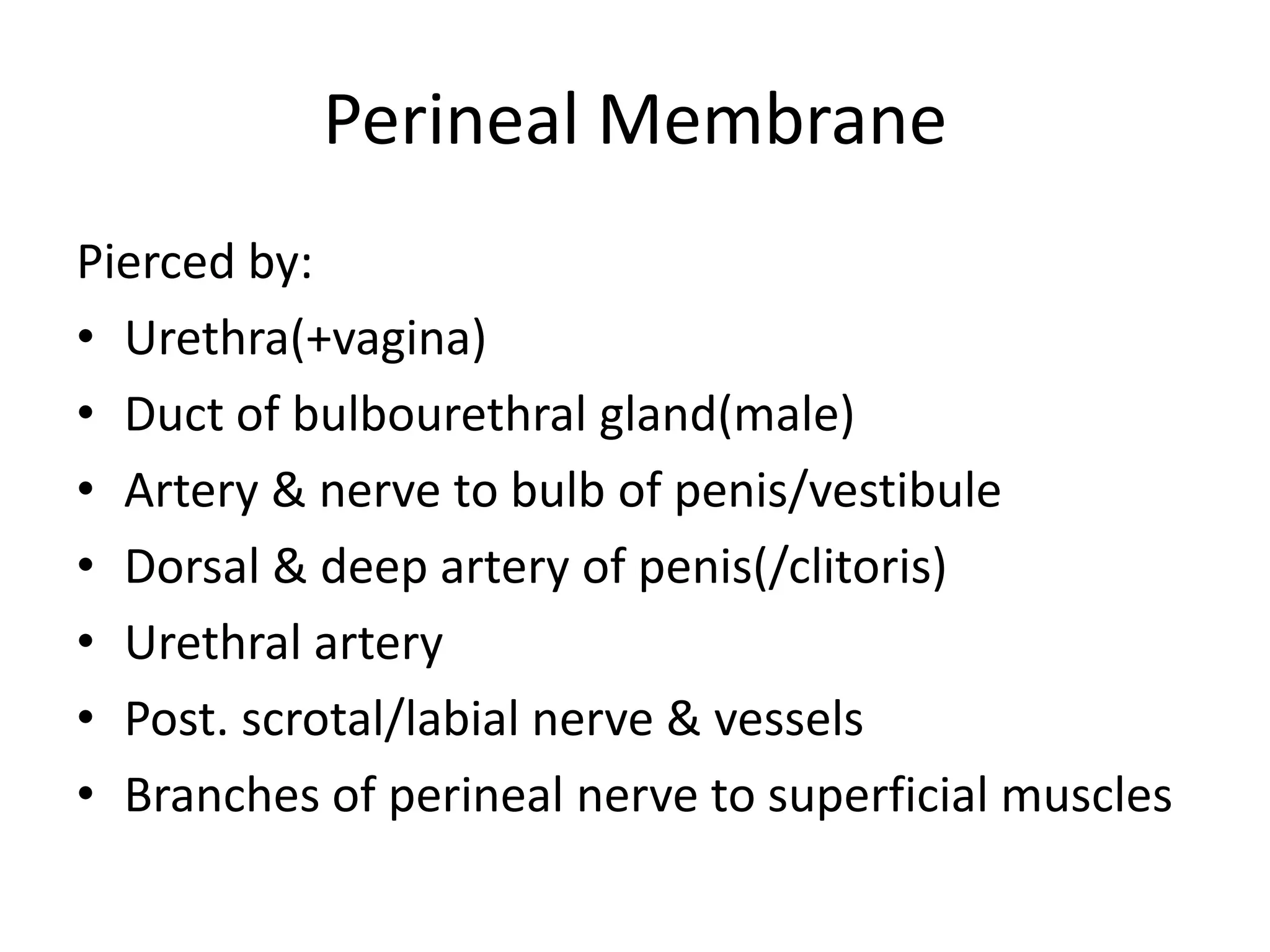 Perineum2 rakesh vora | PPTX