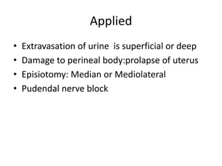 Perineum2 rakesh vora | PPTX
