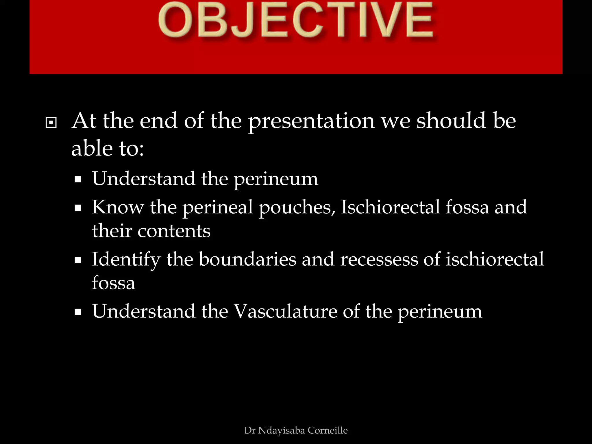 Perineum and Perineal Pouches .pptx