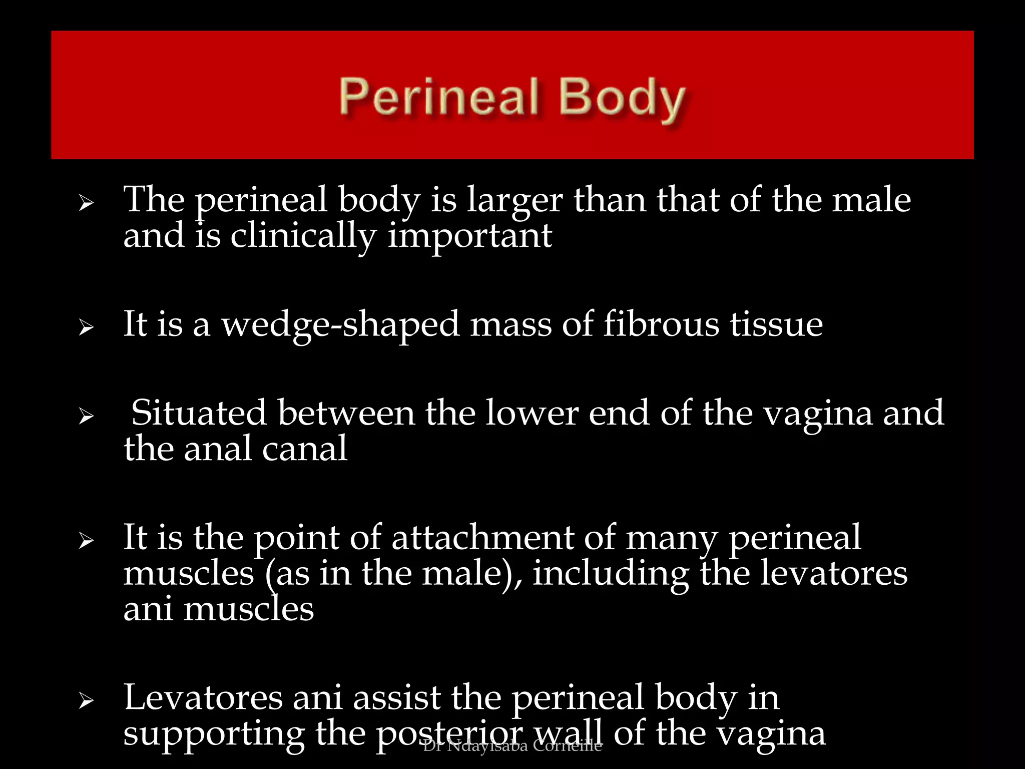 Perineum and Perineal Pouches .pptx