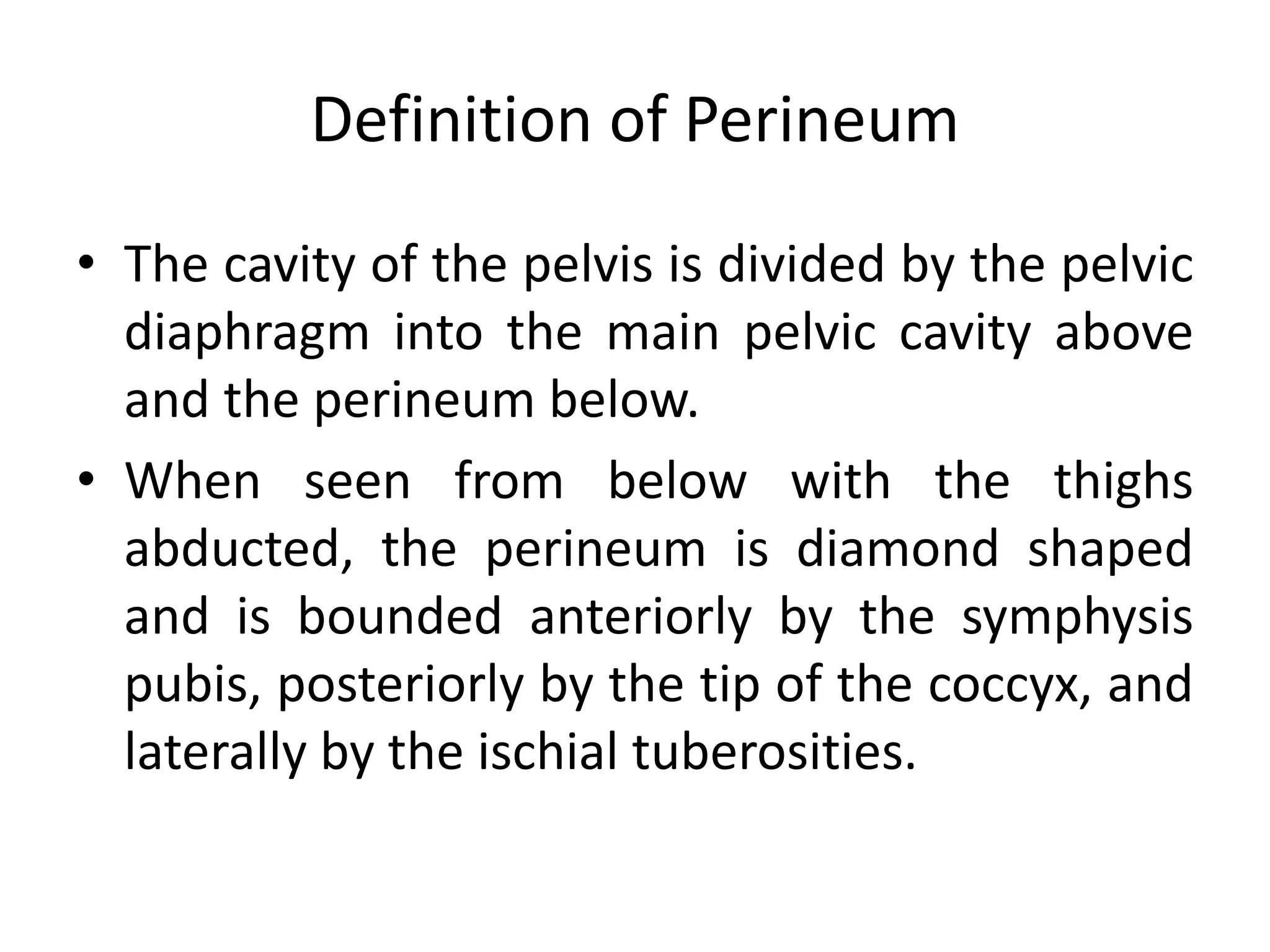 Perineum by HH.pptx