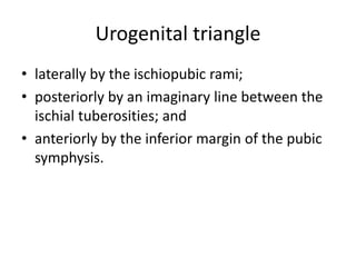 Perineum by HH.pptx