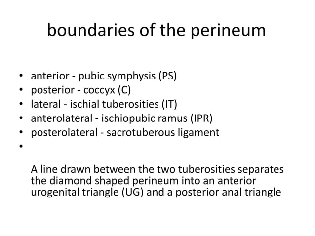 Perineum by HH.pptx