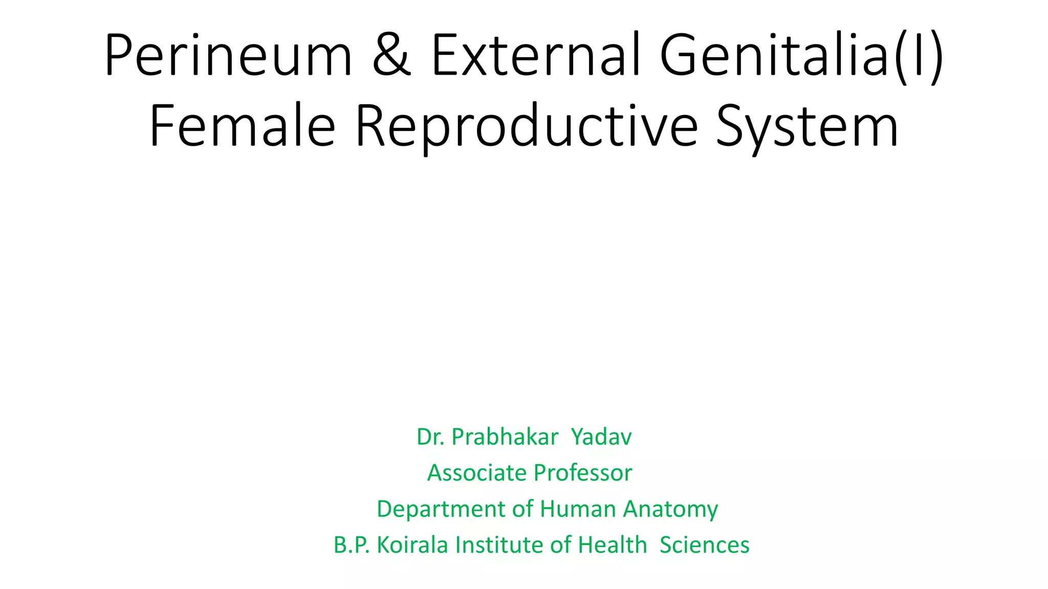 Perineum & external genitalia | PPTX