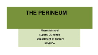 PERINEUM PRESENTATION.pptx