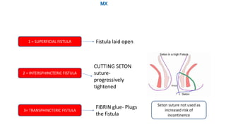 PERINEUM PRESENTATION.pptx | Digestive Disorders | Diseases and Conditions