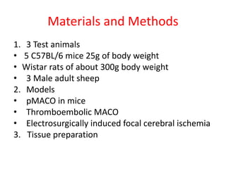 Perineuronal net ppt | PPTX | Brain and Nervous System Disorders ...