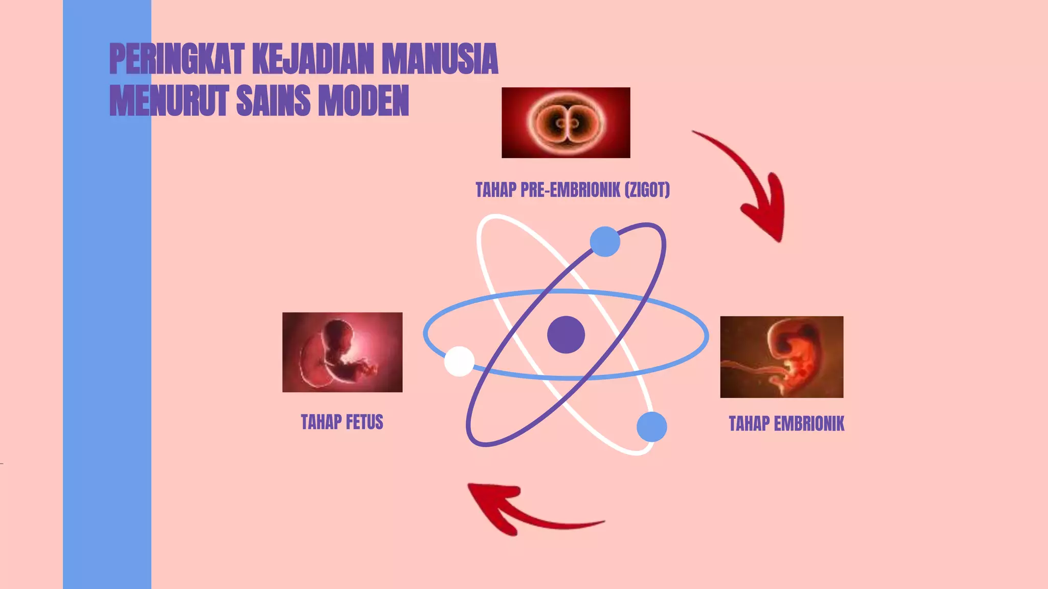 Peringkat Kejadian Manusia Menurut Sains | PPTX