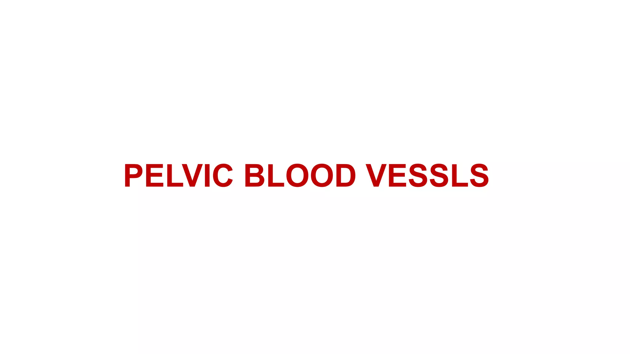 anatomy of Perineum anal triangle | PDF