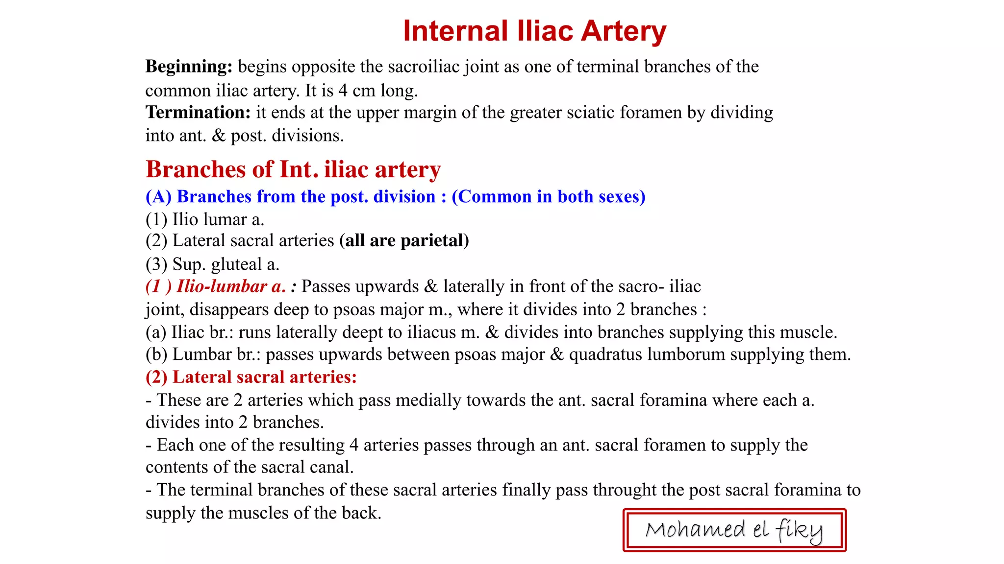 anatomy of Perineum anal triangle | PDF