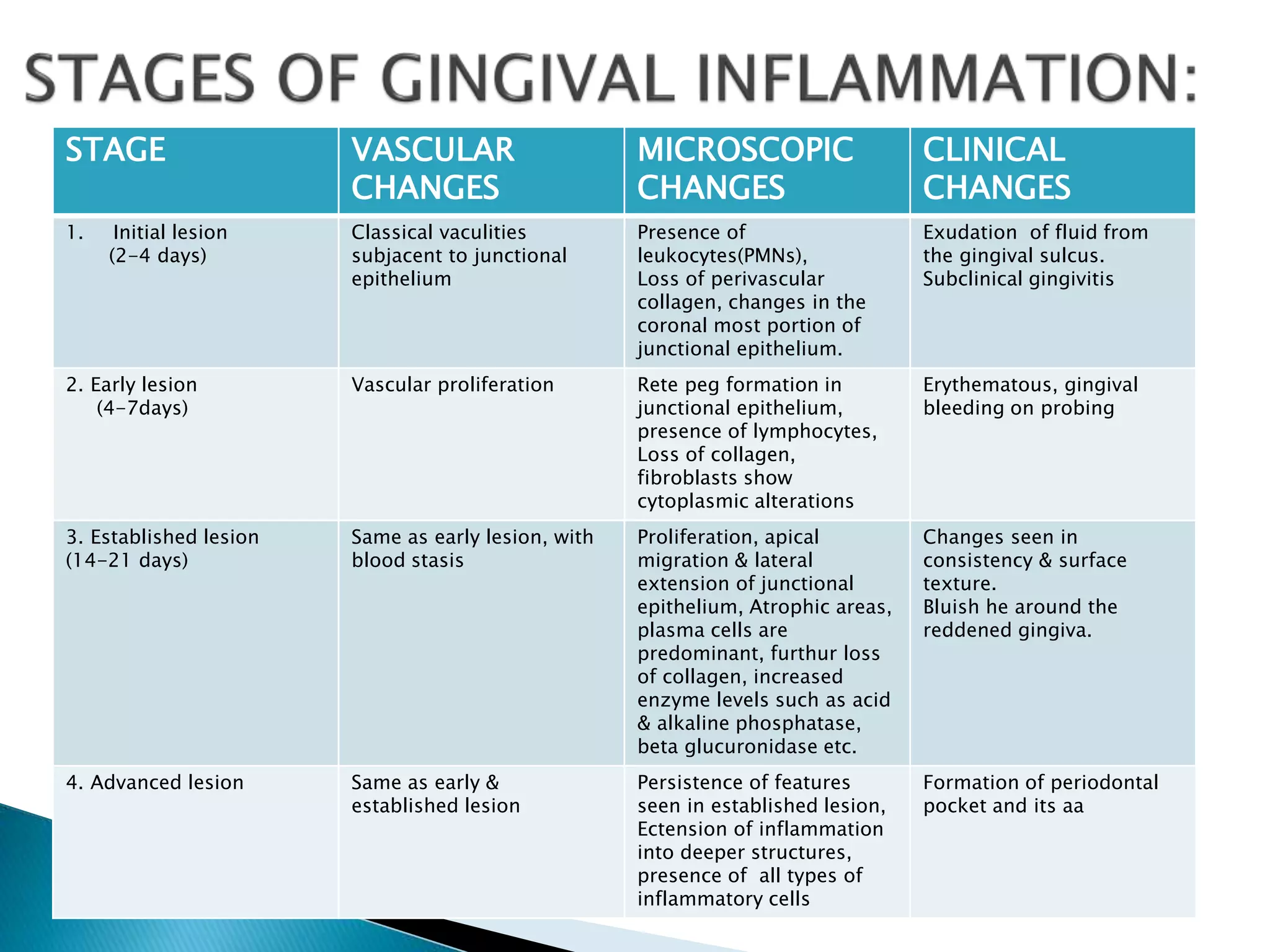 Gingival inflammation & clinical features of gingivitis | PPTX