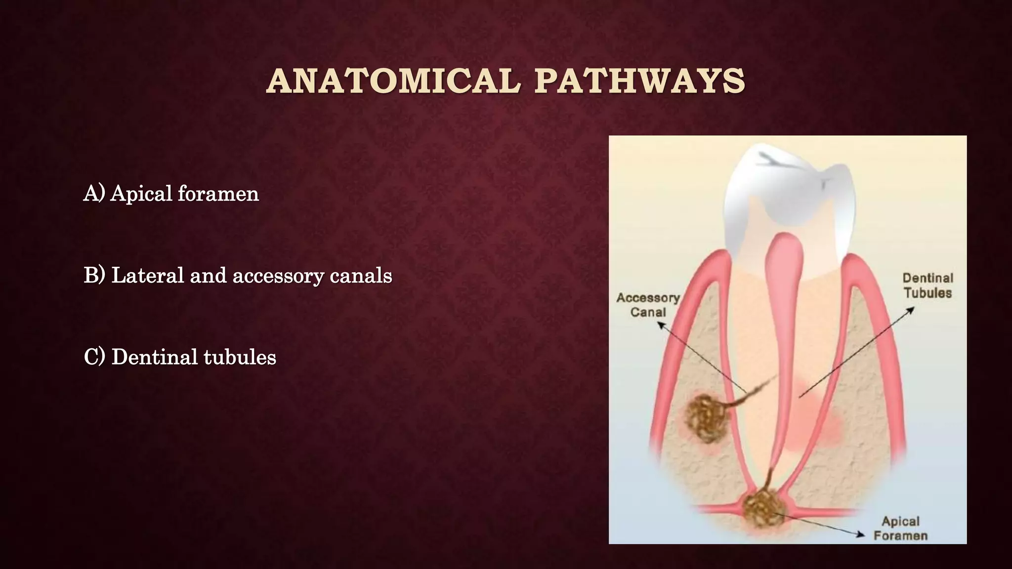 Endo-Perio Lesions | PPTX