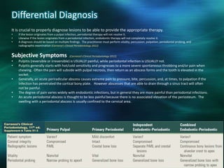 The Perio-Endo Relationship | PPTX