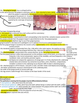 Periodontics dentistry Histology By Hassan Ayyad | DOCX