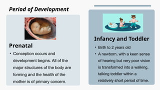 Prenatal development Developmental psychologists study this period to ...