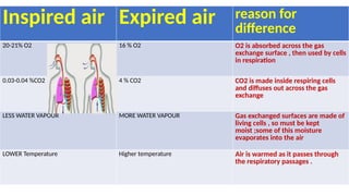 period 1 respiration GR9 week IGCSE CAMBRIDGE | PPTX