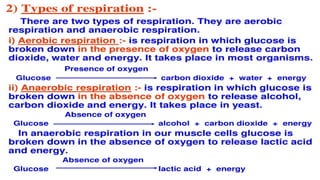 period 1 respiration GR9 week IGCSE CAMBRIDGE | PPT
