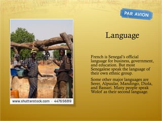 Period 1 senegal, joanna park | PPT