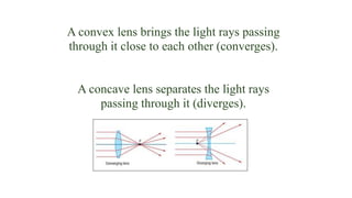 Period 9 | PPTX | Cameras and Camcorders | Consumer Electronics