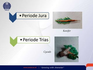 Periode geologi | PPT