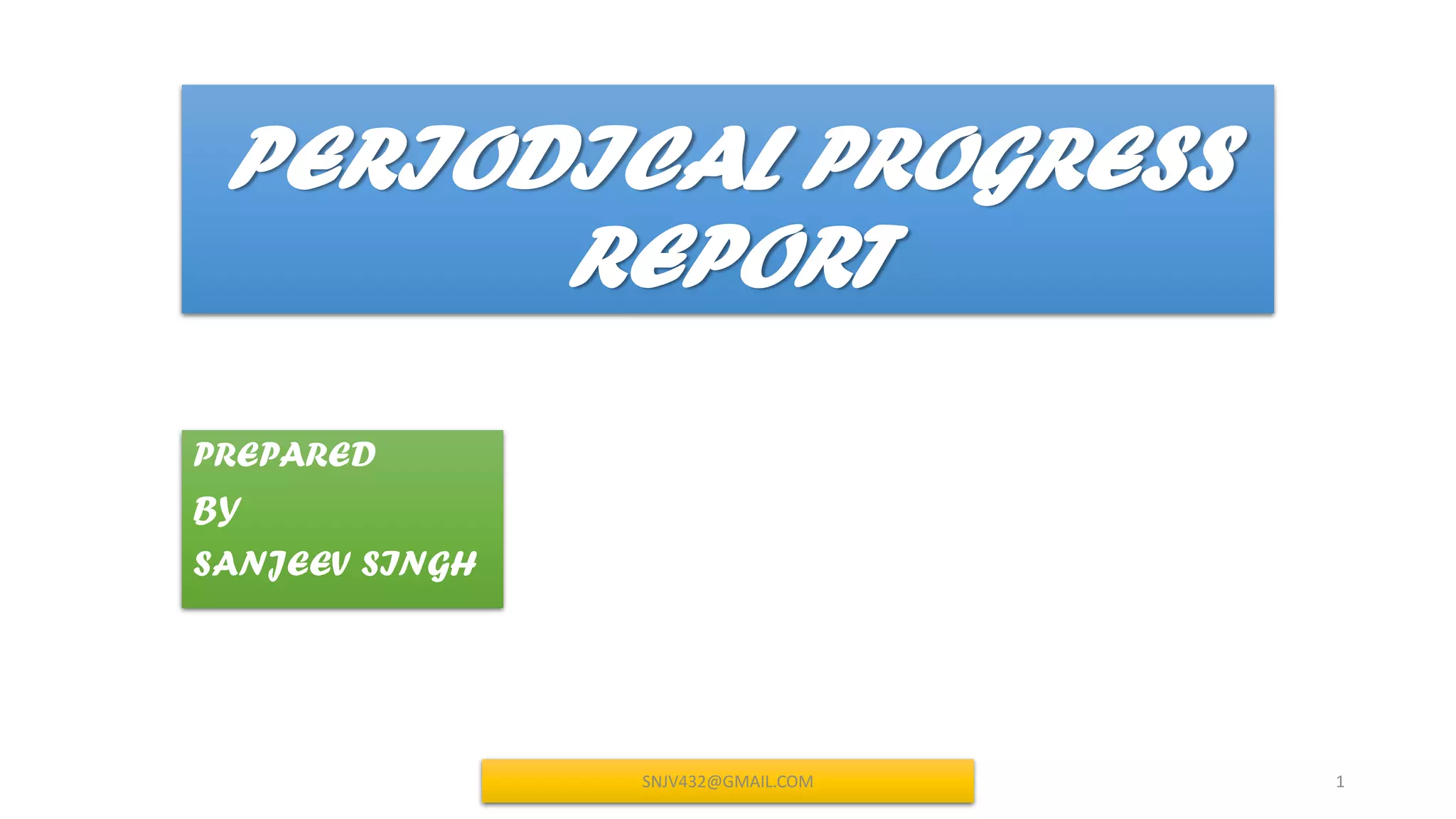 Periodical meeting report and progress report | PDF