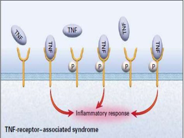 Periodic fever ppt | PPTX