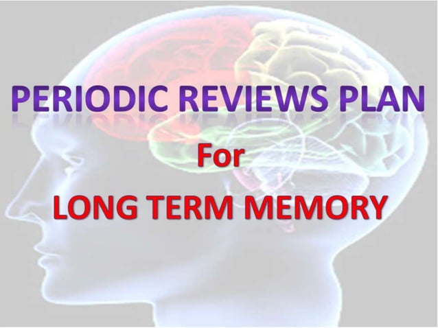Periodic Reviews Plan | PPTX