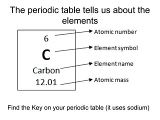 Intro to Periodic Table Basics PowerPoint | PPT