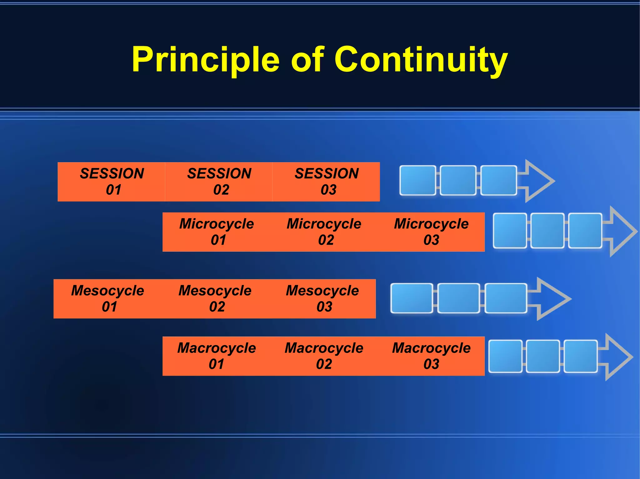 Periodization in Sports: Theoretical Basis | ODP
